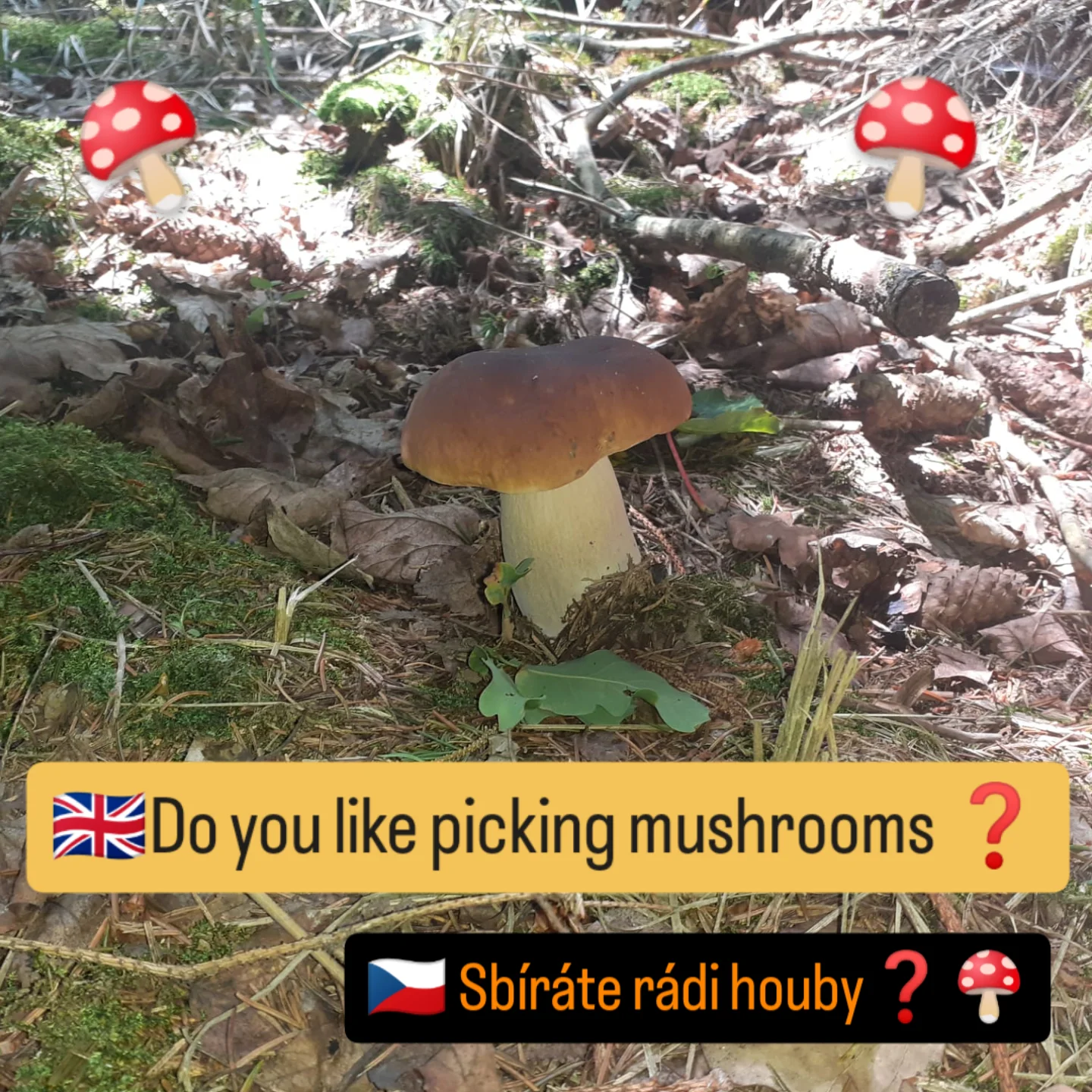 Přítomný čas prostý se slovesem LIKE (mít rád, líbit se) – jednoduchý ...